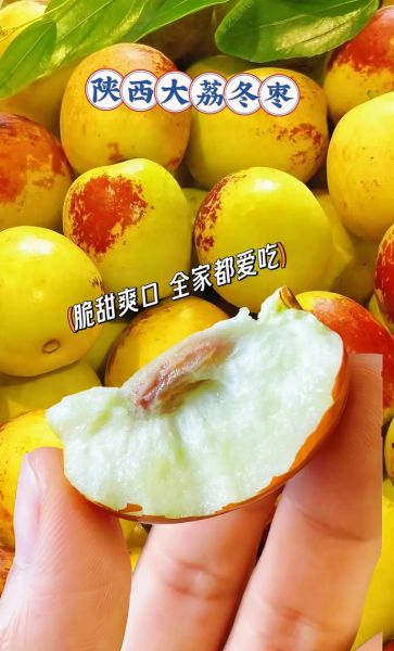 冬枣图片_冬枣怎么挑选-第1张图片-山城妙识