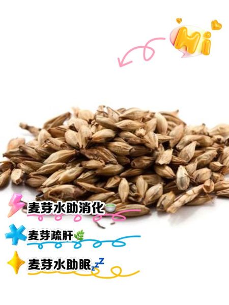 麦芽的功效与作用及禁忌_麦芽怎么吃最好-第2张图片-山城妙识 麦芽的功效与作用及禁忌_麦芽怎么吃最好-第2张图片-山城妙识