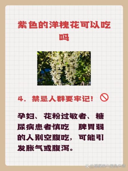 紫洋槐花有什么功效_紫洋槐花怎么吃效果最好-第3张图片-山城妙识