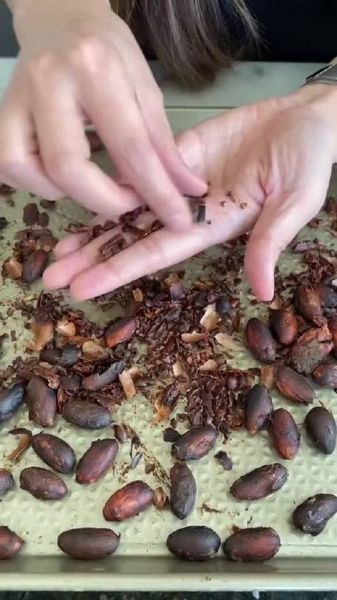 巧克力原料是什么_可可豆如何变成巧克力-第1张图片-山城妙识