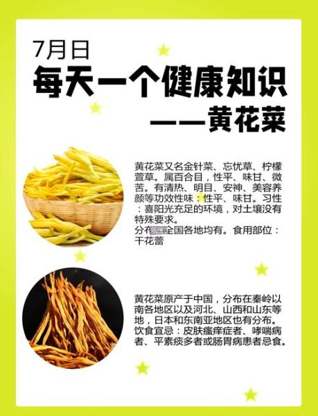 黄花菜的功效与作用_黄花菜怎么吃最好-第1张图片-山城妙识