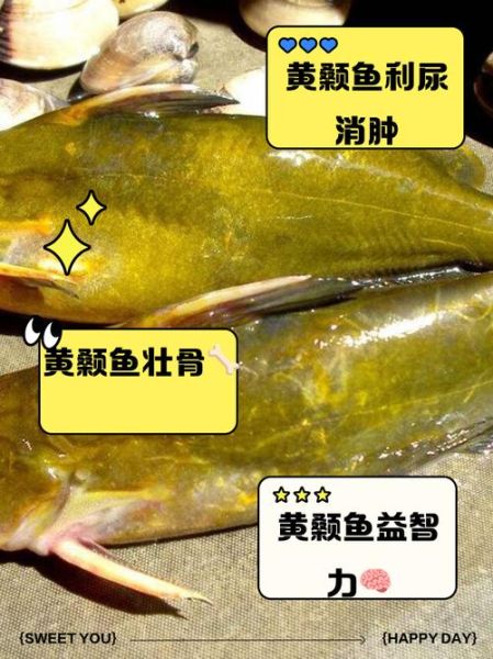 黄刺鱼的功效与禁忌_什么人不能吃-第1张图片-山城妙识