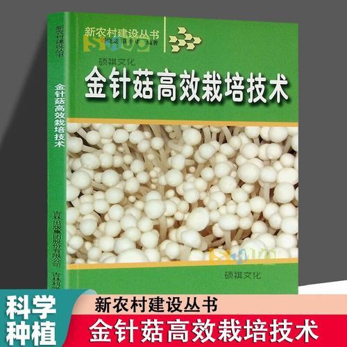 金针菇怎么种植_金针菇种植方法-第2张图片-山城妙识 金针菇怎么种植_金针菇种植方法-第2张图片-山城妙识