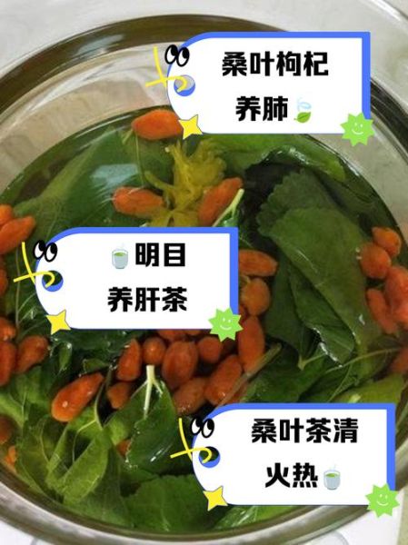 枸杞叶泡水喝的功效与禁忌_枸杞叶茶怎么喝最养生-第1张图片-山城妙识