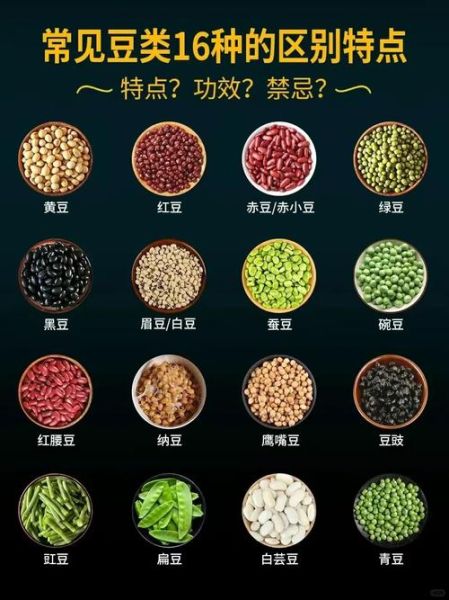 豆类品种大全_哪些豆子适合日常食用-第1张图片-山城妙识 豆类品种大全_哪些豆子适合日常食用-第1张图片-山城妙识