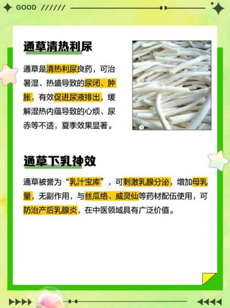 通草的功效与作用有哪些_通草怎么泡水喝-第2张图片-山城妙识