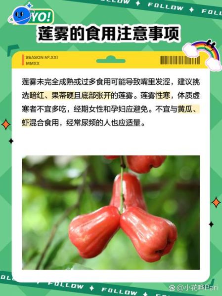 莲雾和释迦是夫妻果吗_莲雾释迦区别-第3张图片-山城妙识