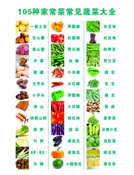蔬菜大全图片和名字_常见蔬菜种类有哪些-第1张图片-山城妙识 蔬菜大全图片和名字_常见蔬菜种类有哪些-第1张图片-山城妙识