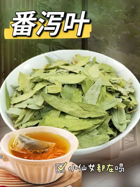 番泻叶图片长什么样_番泻叶真假辨别方法-第2张图片-山城妙识