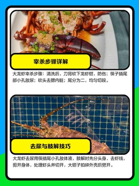 龙虾怎么杀_龙虾宰杀步骤图解-第1张图片-山城妙识