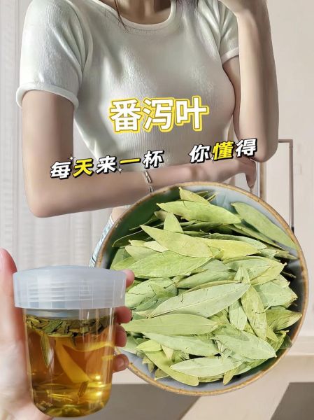 番泻叶图片长什么样_番泻叶真假辨别方法-第3张图片-山城妙识