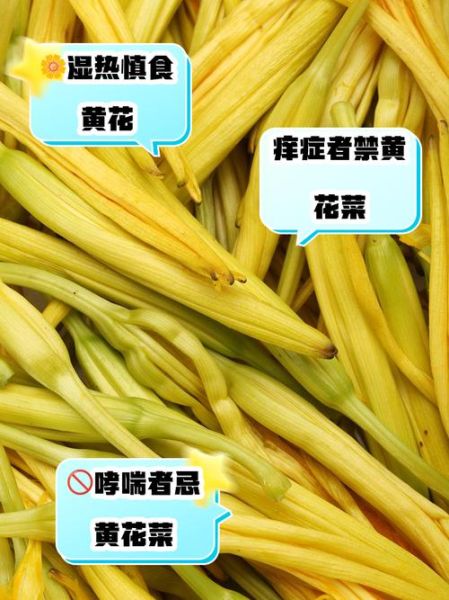 黄花菜什么人不能吃_黄花菜禁忌人群-第2张图片-山城妙识