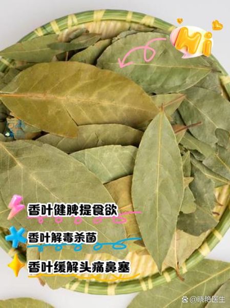 香叶的功效与作用_香叶的正确吃法-第2张图片-山城妙识 香叶的功效与作用_香叶的正确吃法-第2张图片-山城妙识