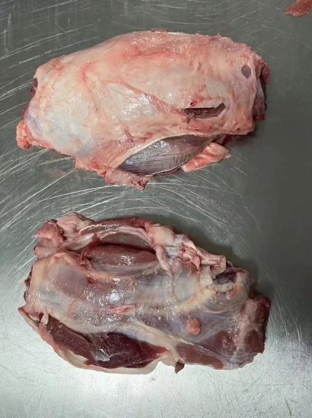 腱子肉是猪的哪个部位_腱子肉在猪身上哪里-第1张图片-山城妙识