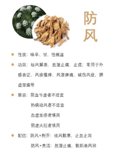 防风的功效与作用_防风怎么泡水喝-第3张图片-山城妙识