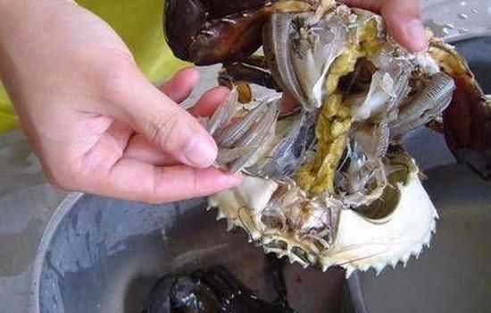 螃蟹怎么处理干净内脏_螃蟹内脏清理步骤-第3张图片-山城妙识