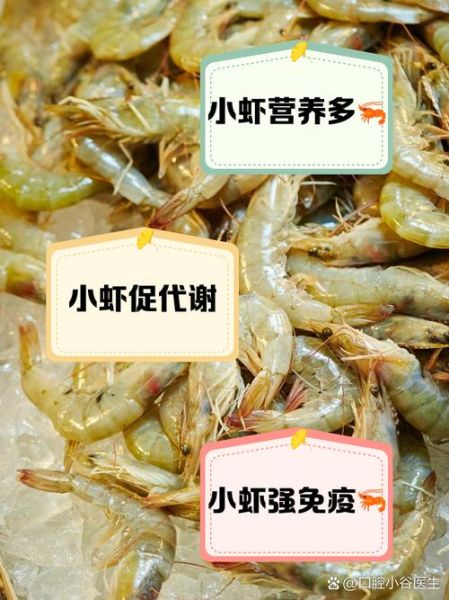 小虾吃什么食物长大_家养小虾饲料选择-第2张图片-山城妙识