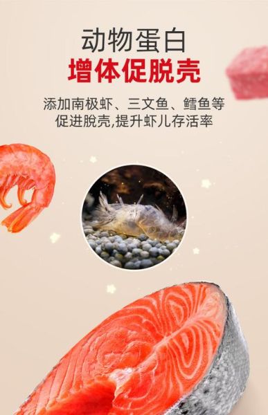 小虾吃什么食物长大_家养小虾饲料选择-第3张图片-山城妙识
