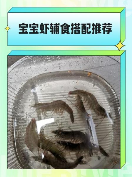 小虾吃什么食物长大_家养小虾饲料选择-第1张图片-山城妙识