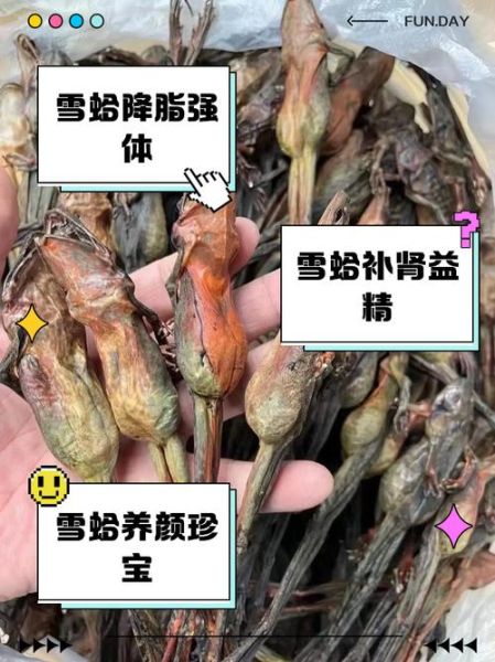 雪蛤膏是什么东西_雪蛤膏的功效与作用-第1张图片-山城妙识