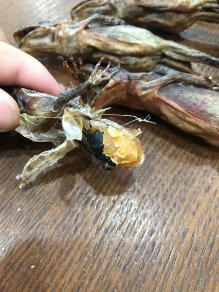 雪蛤膏是什么东西_雪蛤膏的功效与作用-第2张图片-山城妙识