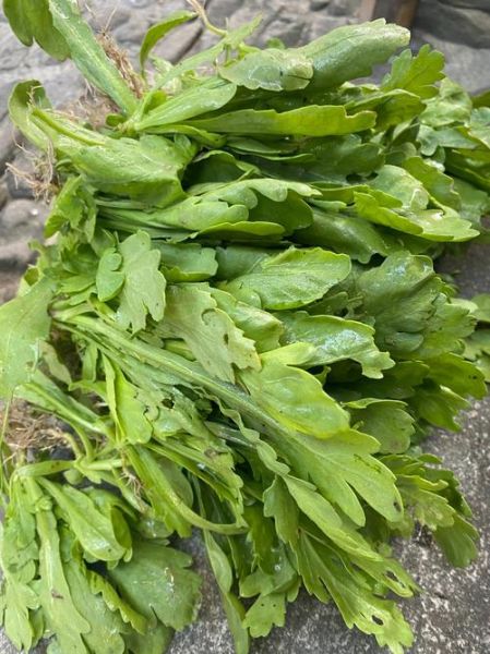 菊花菜的功效与作用_菊花菜怎么吃最营养-第3张图片-山城妙识 菊花菜的功效与作用_菊花菜怎么吃最营养-第3张图片-山城妙识