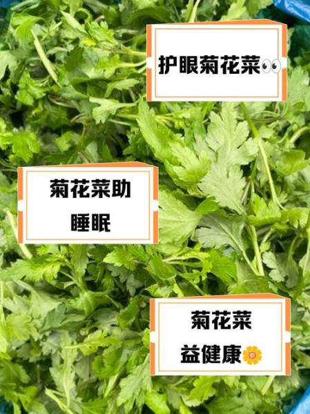 菊花菜的功效与作用_菊花菜怎么吃最营养-第2张图片-山城妙识 菊花菜的功效与作用_菊花菜怎么吃最营养-第2张图片-山城妙识