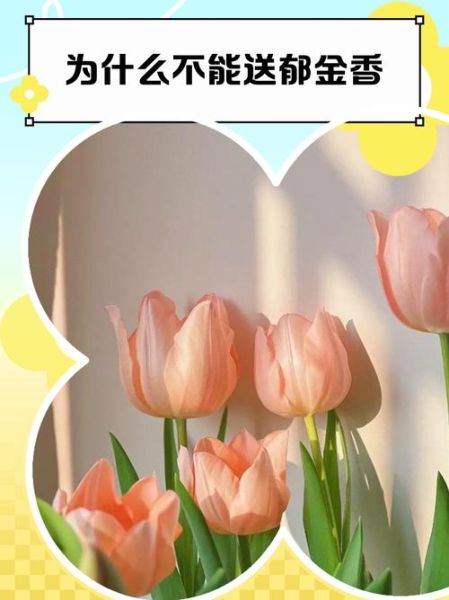 郁金香为什么不能送人_送错花后果-第1张图片-山城妙识 郁金香为什么不能送人_送错花后果-第1张图片-山城妙识