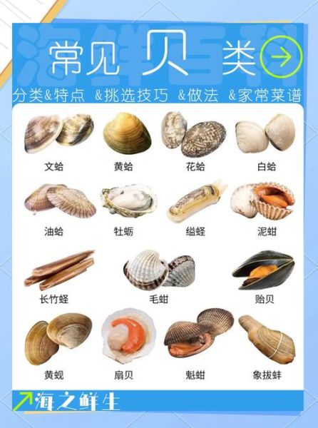 贝类海鲜怎么清洗_贝类海鲜的做法大全-第3张图片-山城妙识