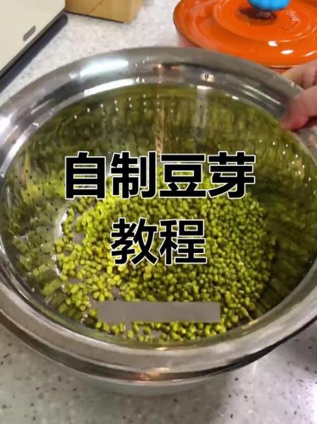 家庭自制绿豆芽的方法_绿豆芽怎么发最快-第1张图片-山城妙识