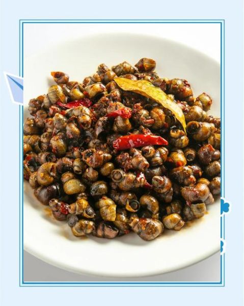 田螺吃什么食物_田螺多久喂一次-第3张图片-山城妙识