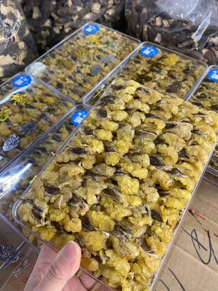 雪蛤膏的功效与作用_雪蛤膏怎么吃效果最好-第2张图片-山城妙识
