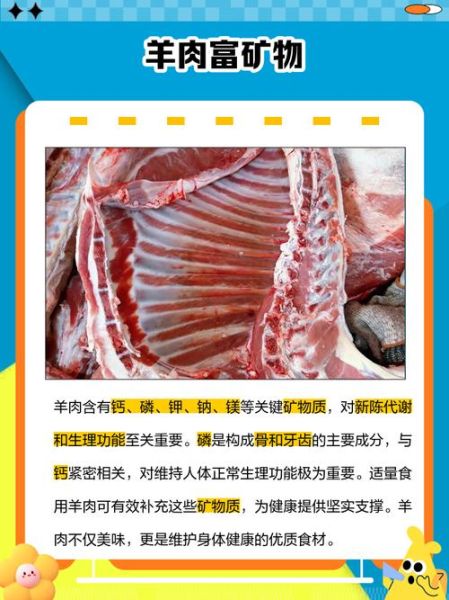 羊肉的营养价值_羊肉的功效与作用-第1张图片-山城妙识