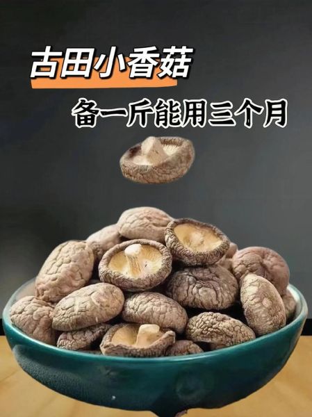 香菇多少钱一斤_2024年最新行情-第1张图片-山城妙识