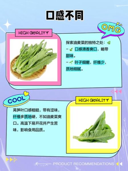 莴笋叶和油麦菜的区别_哪个更有营养-第1张图片-山城妙识