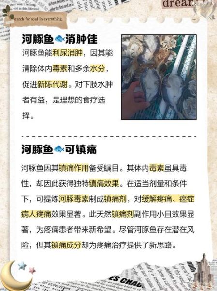 河豚毒素作用机制_中毒后如何自救-第2张图片-山城妙识 河豚毒素作用机制_中毒后如何自救-第2张图片-山城妙识