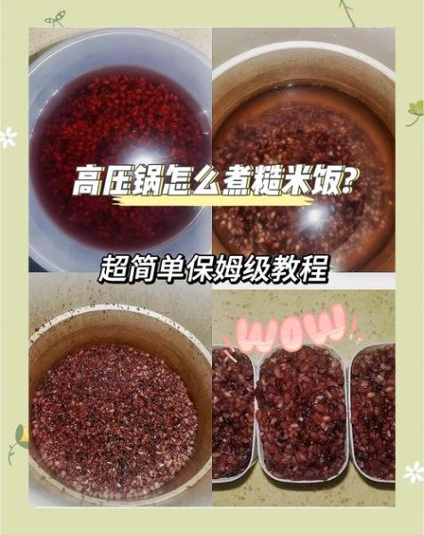 糙米饭怎么煮好吃_糙米饭要泡多久-第2张图片-山城妙识