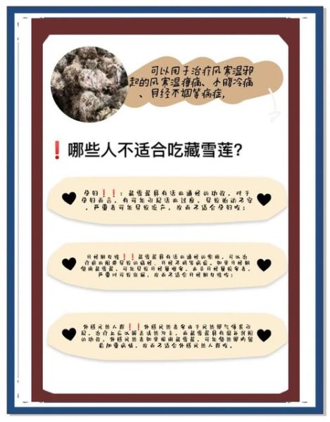 藏雪莲什么人不能吃_藏雪莲禁忌人群-第1张图片-山城妙识