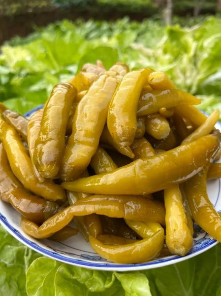 泡椒怎么腌制_自制泡椒的做法步骤-第1张图片-山城妙识