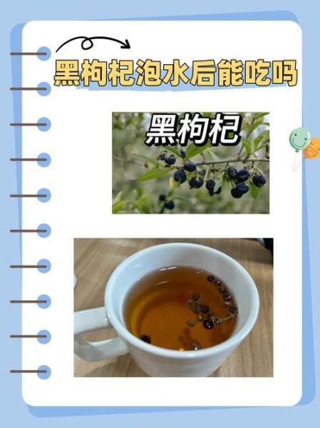 黑枸杞怎么泡_黑枸杞泡水温度多少合适-第3张图片-山城妙识
