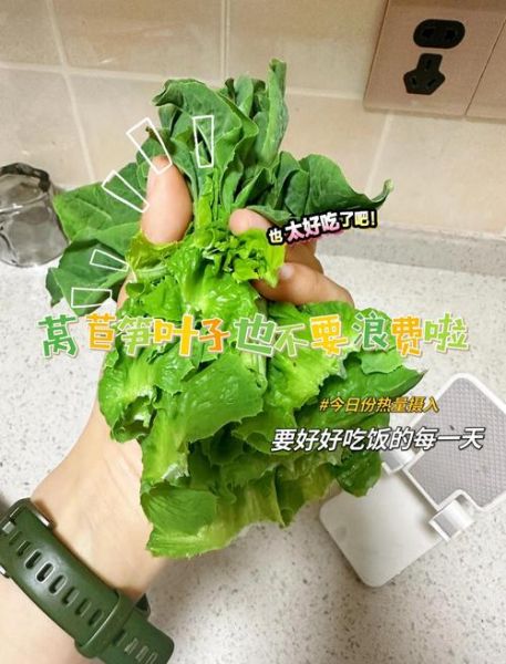 莴苣叶怎么炒好吃_莴苣叶的做法大全家常-第2张图片-山城妙识