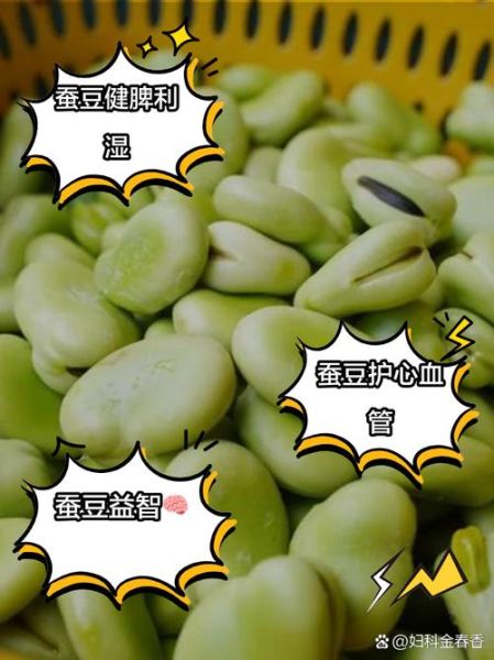 蚕豆一次吃多少_蚕豆一天最多能吃几颗-第2张图片-山城妙识