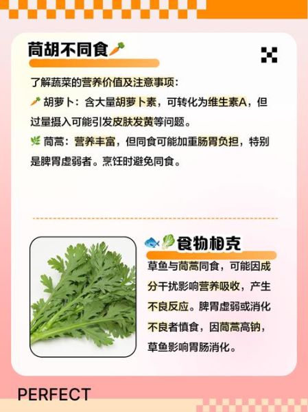 茼蒿菜什么人不能吃_茼蒿菜不能和什么一起吃-第2张图片-山城妙识