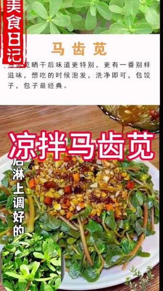 马齿苋凉拌怎么做好吃_马齿苋凉拌需要焯水吗-第1张图片-山城妙识