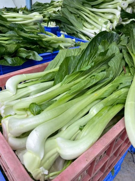 迟菜心是什么菜_迟菜心和菜心区别-第1张图片-山城妙识