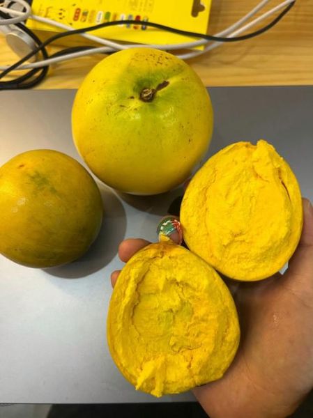 鸡蛋果的功效与作用有哪些_鸡蛋果图片怎么辨别真假-第3张图片-山城妙识