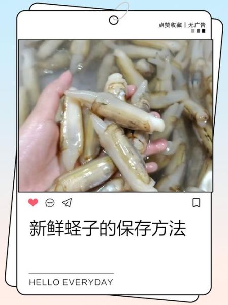 蛏子哪里不能吃_蛏子内脏能吃吗-第2张图片-山城妙识