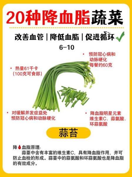 降血脂最快的五种蔬菜_吃什么蔬菜降血脂最快-第1张图片-山城妙识