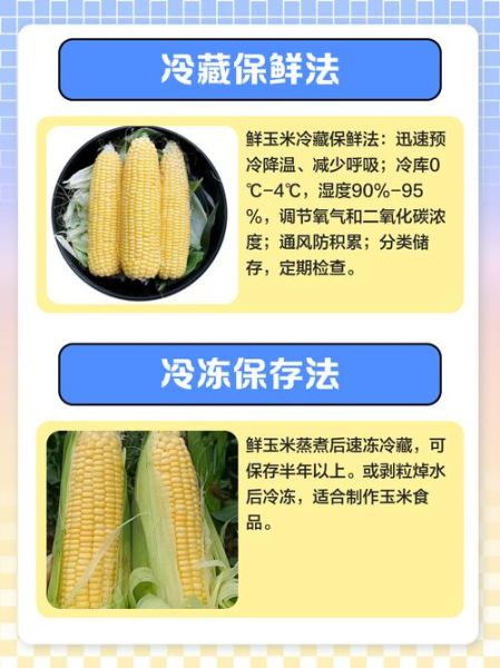 鲜玉米怎么保存时间长_玉米冷藏冷冻技巧-第2张图片-山城妙识