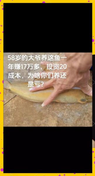 高密度养殖一亩地养6万斤鱼_可行吗-第2张图片-山城妙识